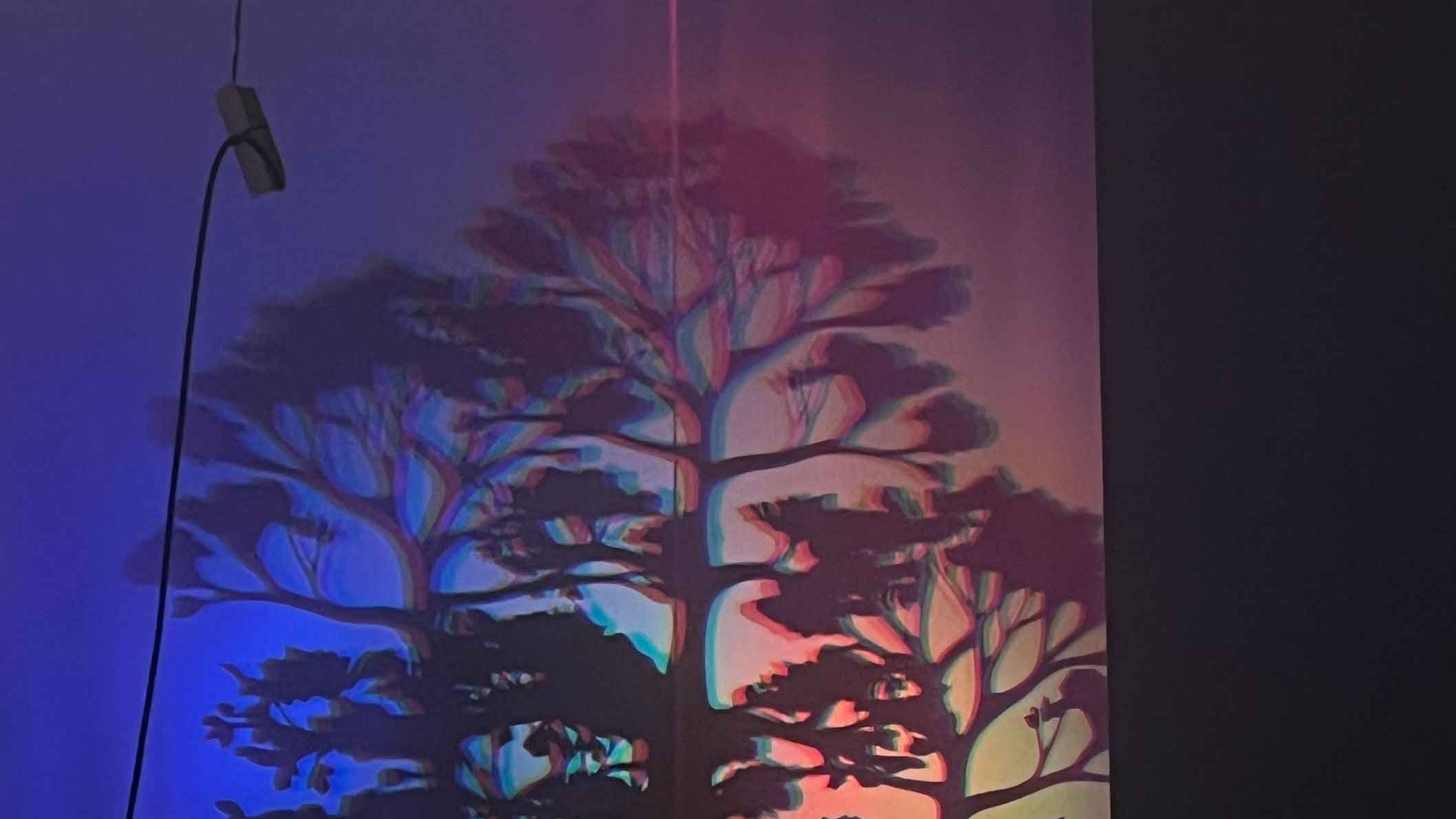 Pengalaman mengikuti Color and Shadow Workshop by Light Talk - Luminapedia - Media for Light